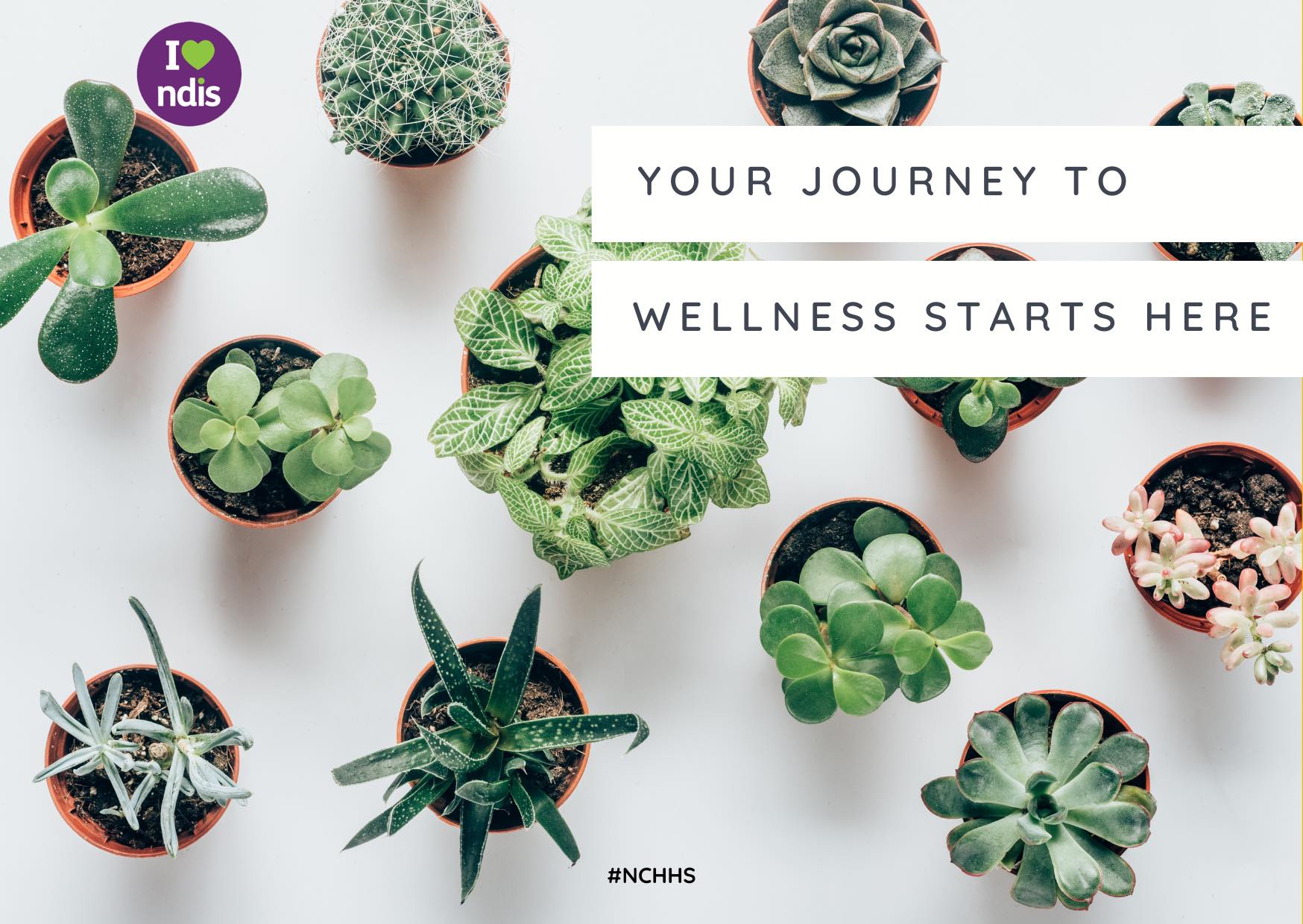 Neta Care Holistic Health Services - Holiday Navigator